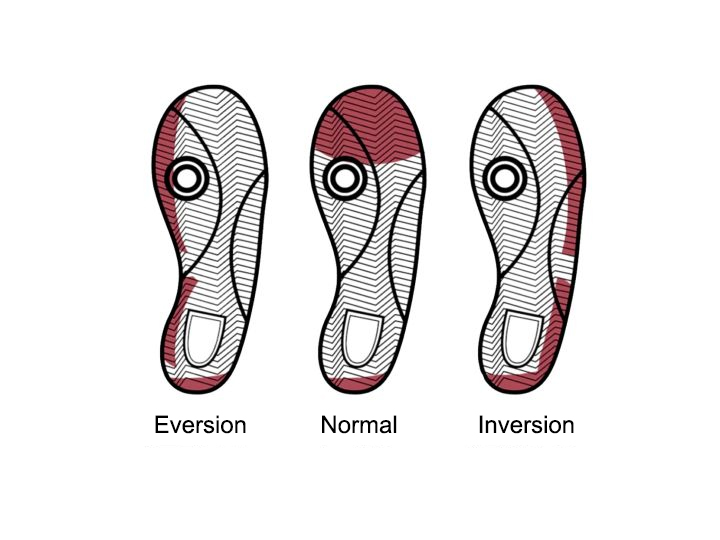What is inversion and eversion? | Orthotics Insoles & EVA Supplier ...